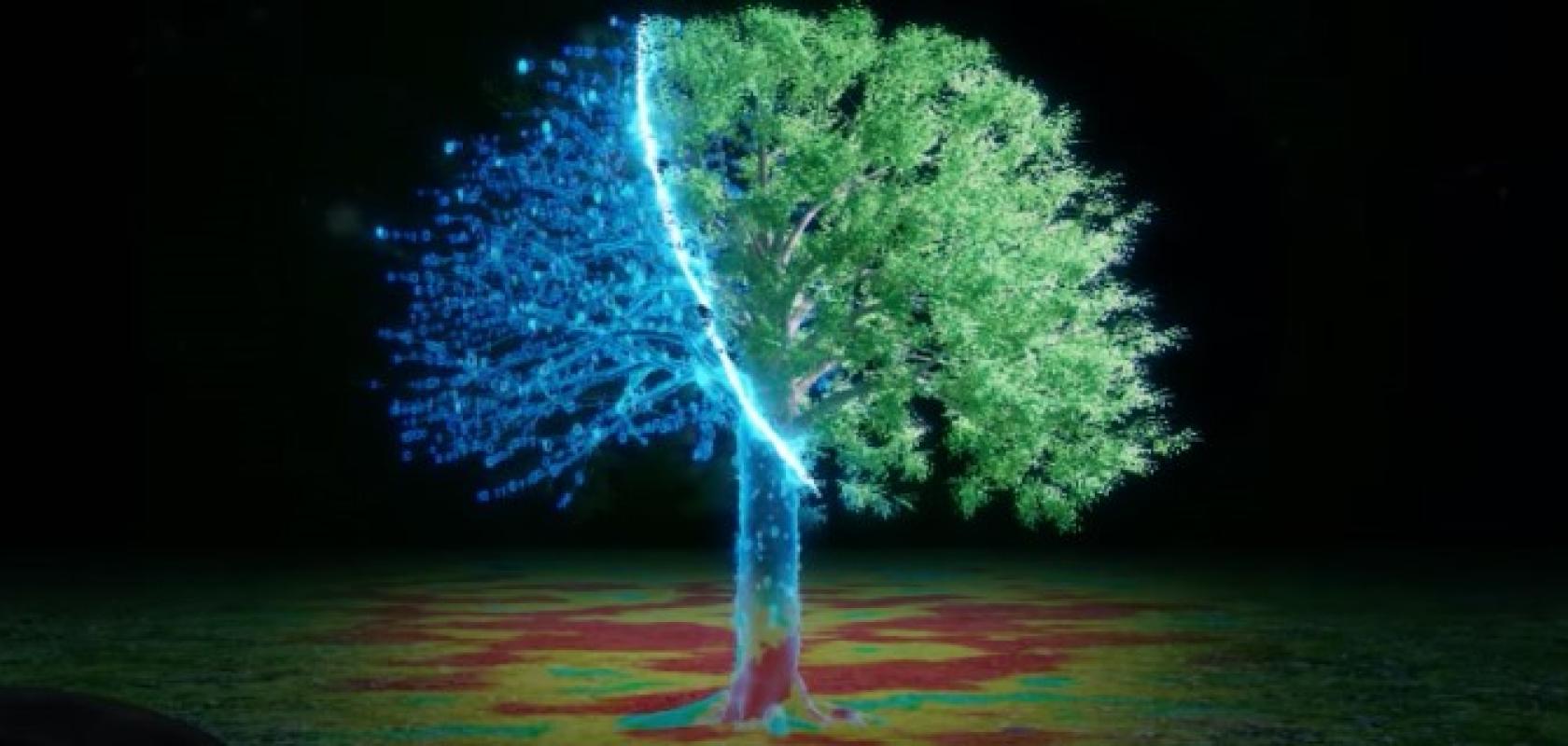 New thermal imaging method holds promise for AI nightvision | Imaging ... New thermal imaging method holds promise for AI nightvision | Imaging ...