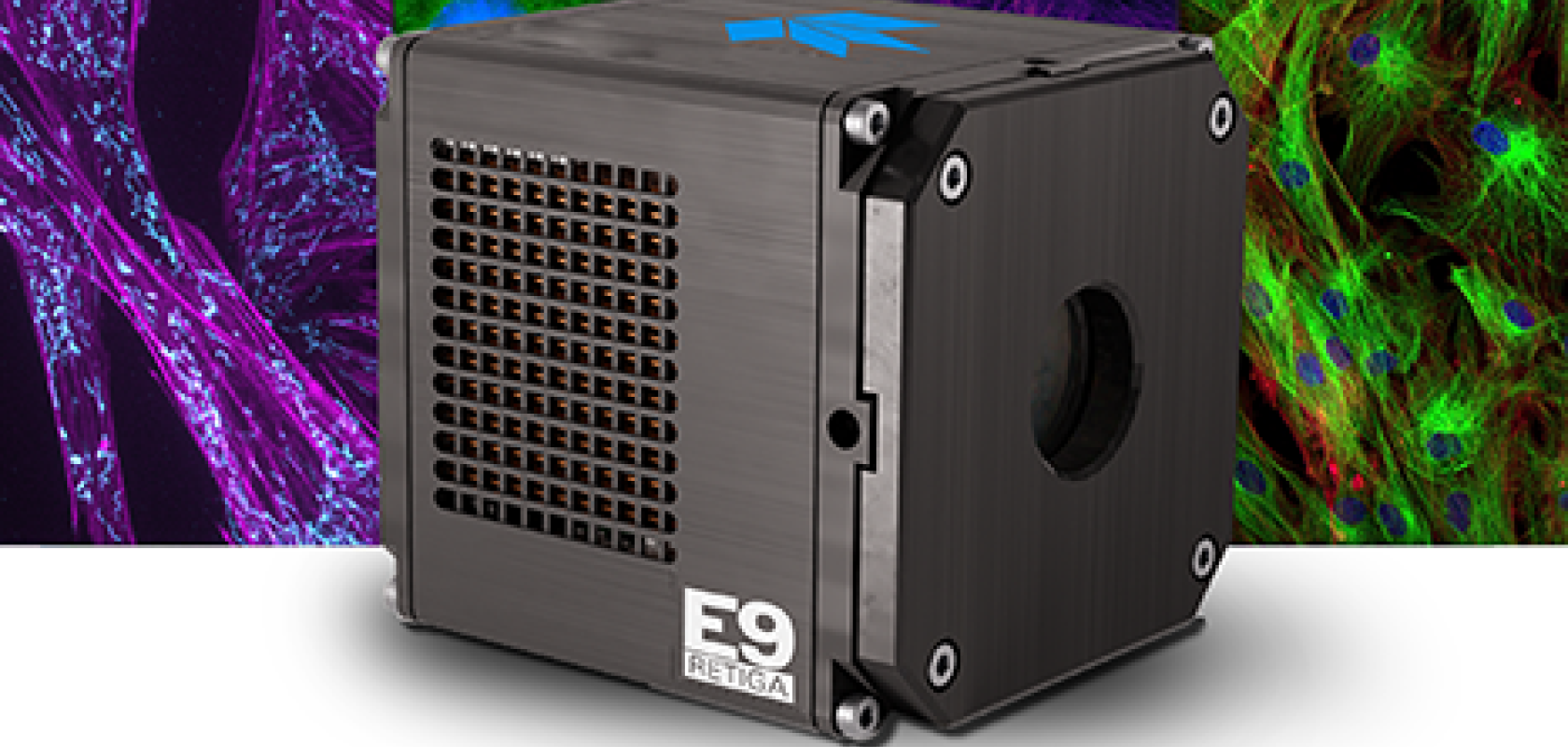 Teledyne long-exposure camera benefits life sciences applications ...